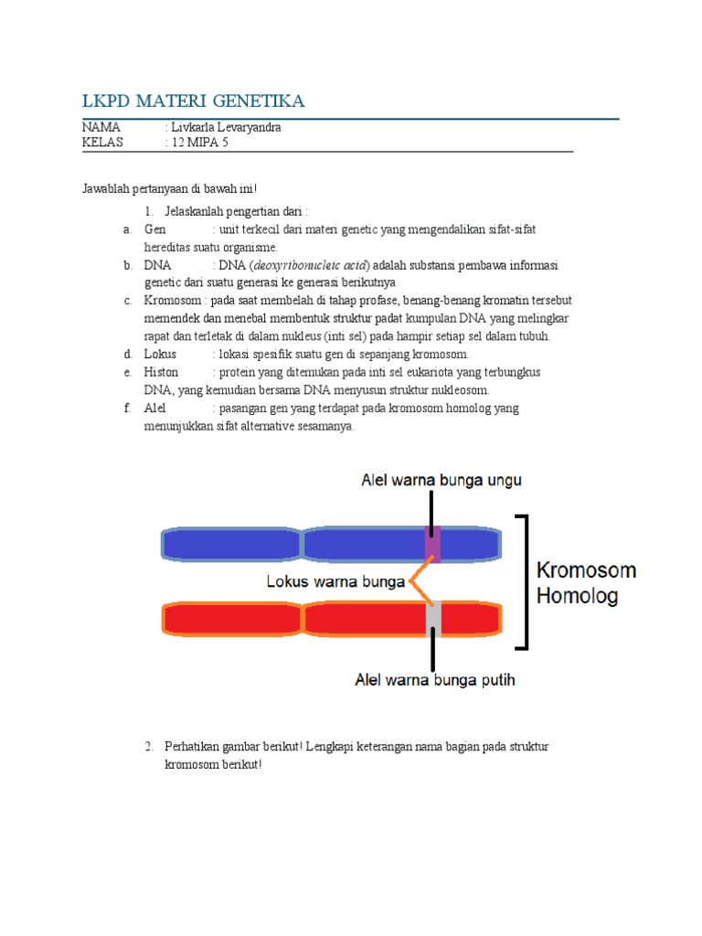 LKPD Materi Genetika | PDF
