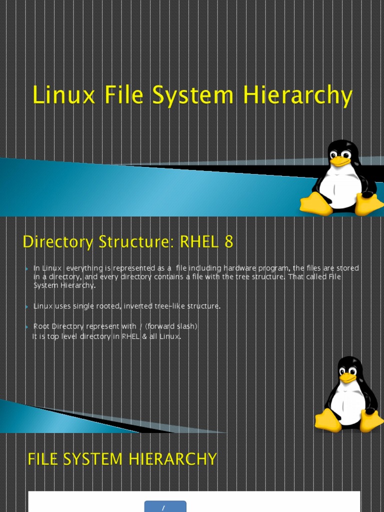 File System Hierarchy | PDF | Computer File | Directory (Computing)