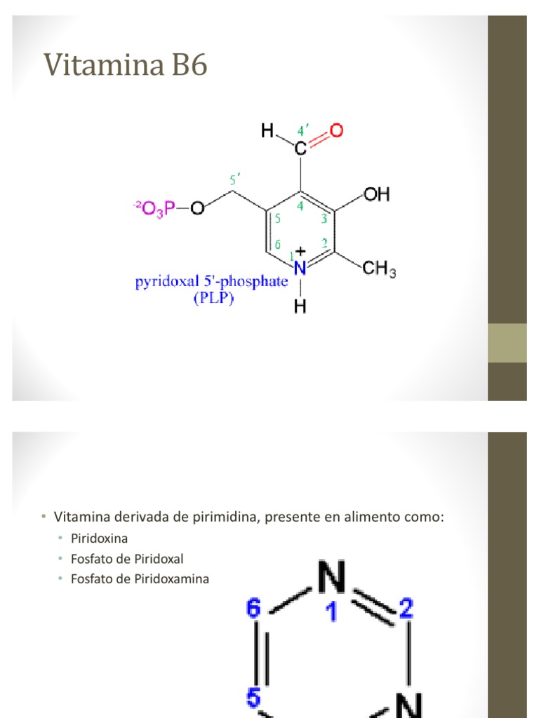 Vitamina B6 | PDF | Bioquímica | Química