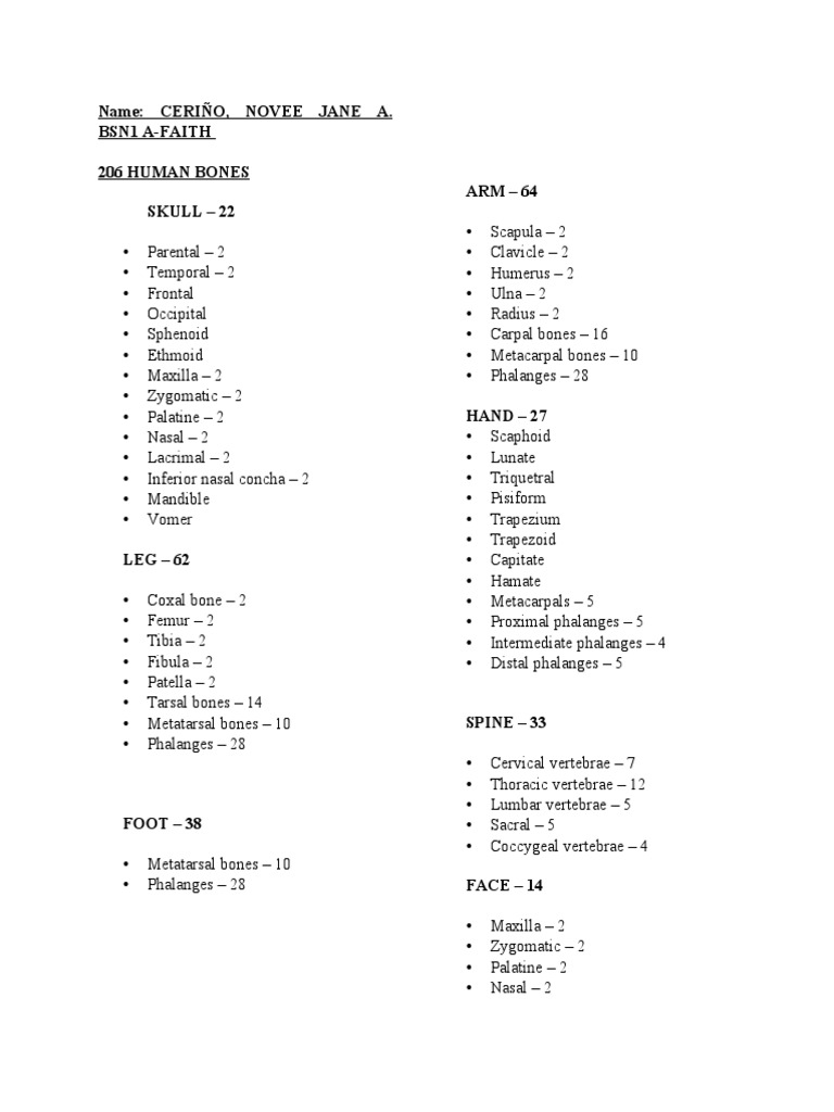 Anaphy 206 Human Bones | PDF