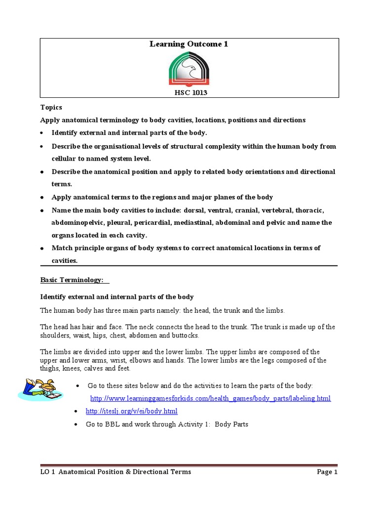 An In-Depth Exploration of Anatomical Terminology, Body Cavities, and ...