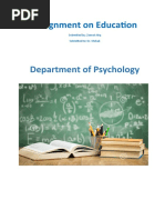 Cera Format Reflection | PDF | Learning | Teachers