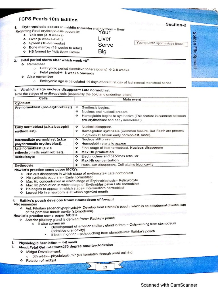 Raffi Points Compressed | PDF