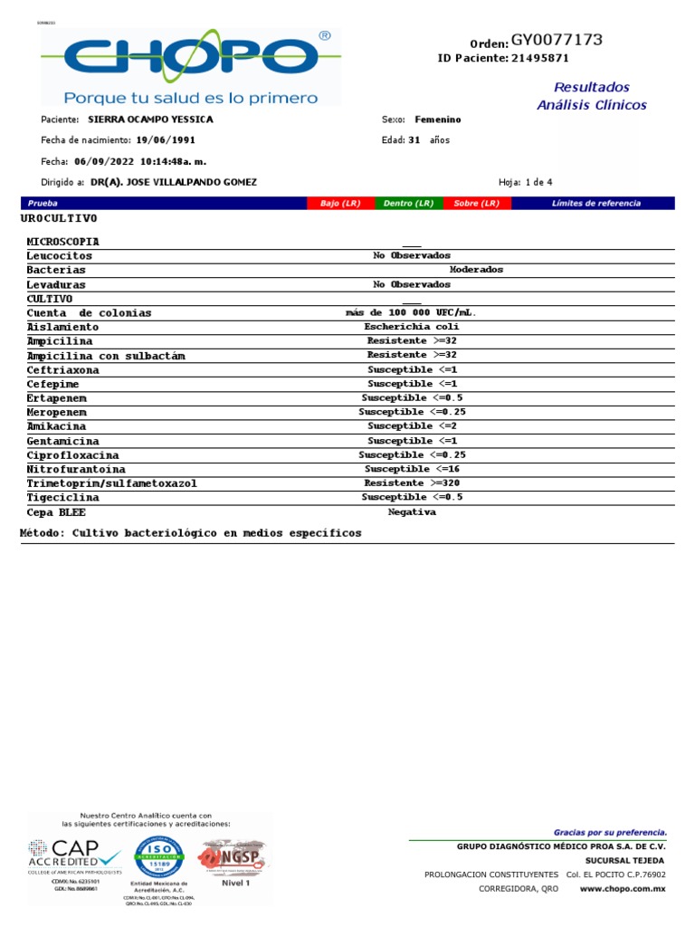 Chopo Quimica Sanguinea | PDF | Medicina CLINICA | Medicina