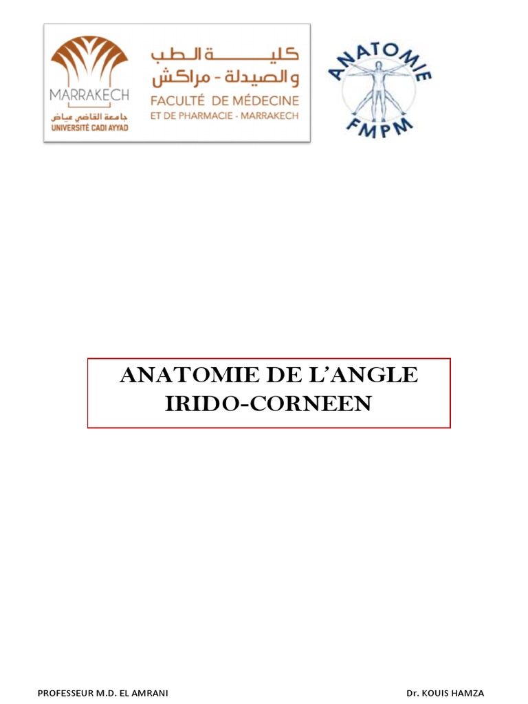 Anatomie de l'angle irido-cornéen | PDF | Cornée | Nerf