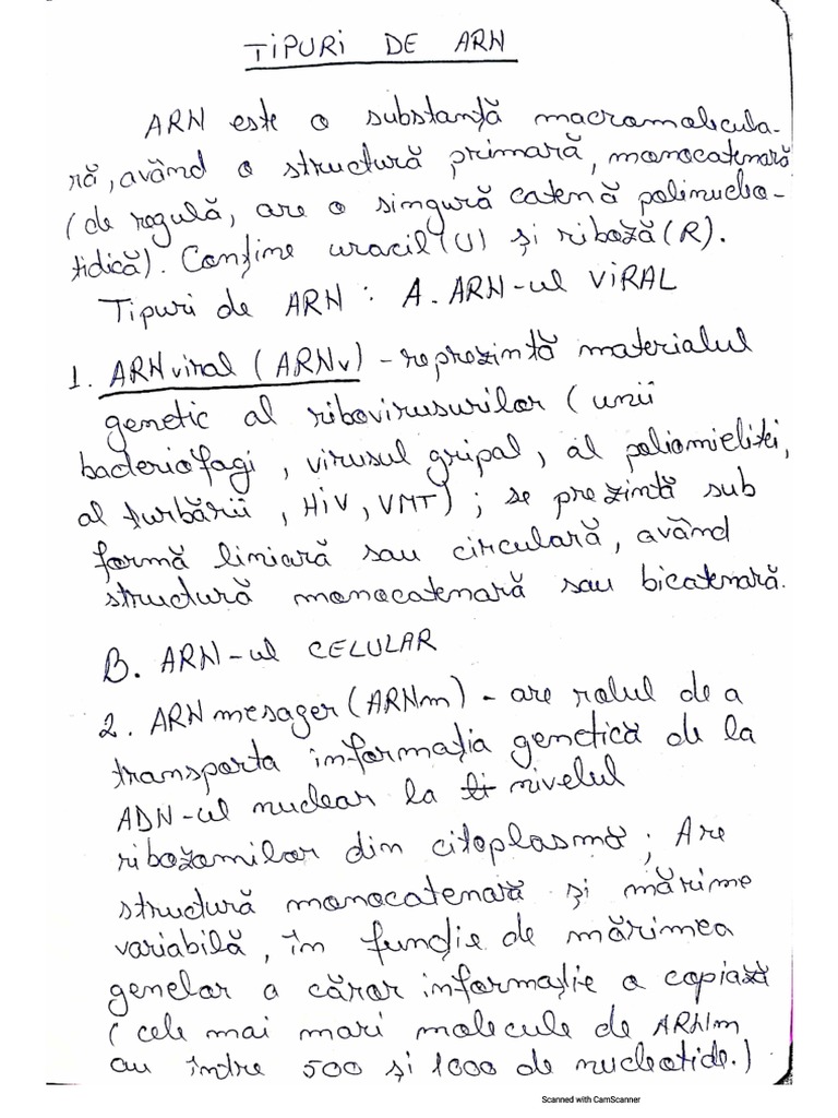 Tipuri de ARN | PDF