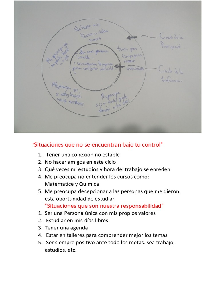Círculo de La Preocupación Versus Círculo de La Influencia | PDF