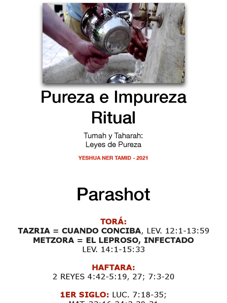 Impureza y Pureza Ritual | PDF | Menstruación | Libro de levítico