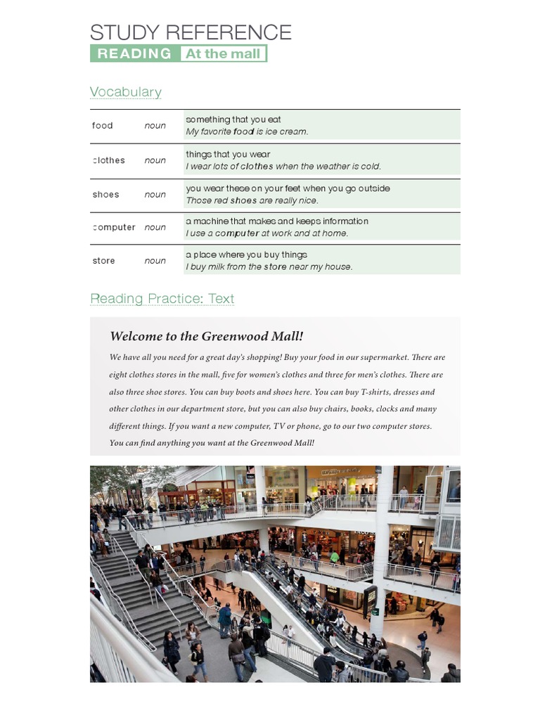 Reading-At The Mall | PDF