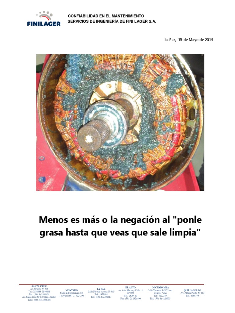 Mantenimiento y Lubricación Efectiva en Fini Lager | PDF | Lubricante