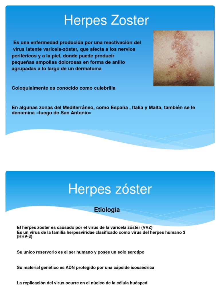 Comprendiendo la etiología, patogenia y manifestaciones clínicas del ...