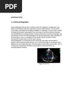 TTE TEE Report Template | PDF