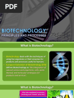 Biotechnology Principles and Processes - Notes | PDF | Molecular ...