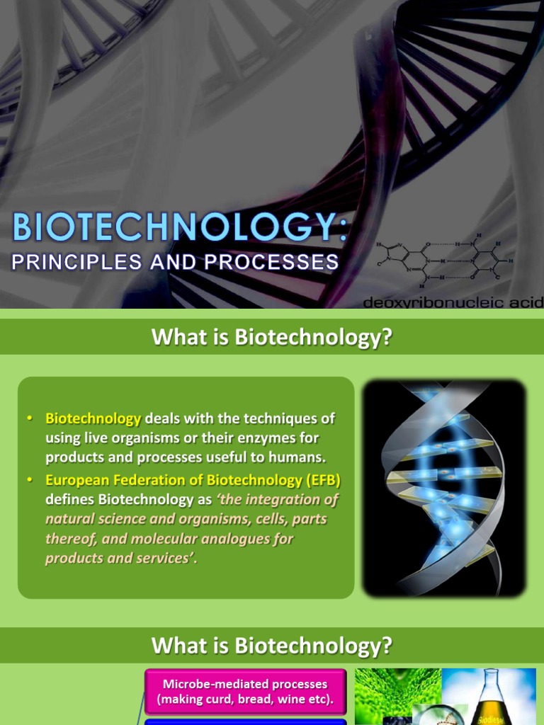 Biotechnology Principles and Processes | PDF | Molecular Cloning | Restriction Enzyme