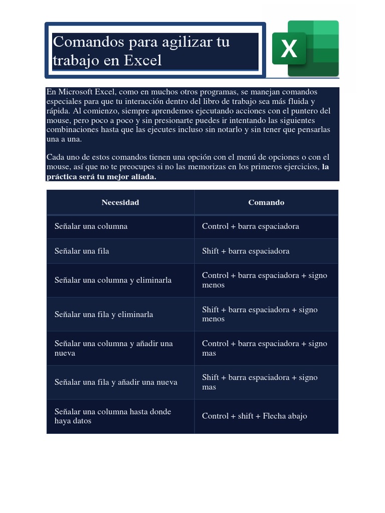 Comandos para Agilizar Tu Trabajo en Excel | PDF
