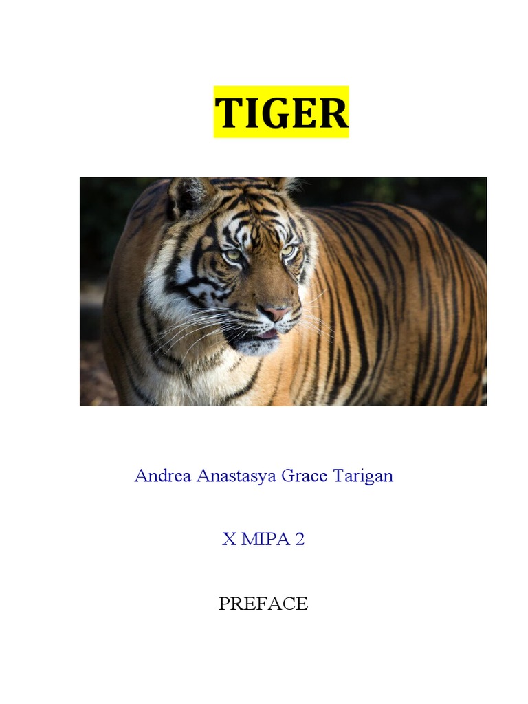 Tiger Paper English | PDF | Tiger | Fur