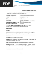 Instrucciones para Ficha SIITH | PDF