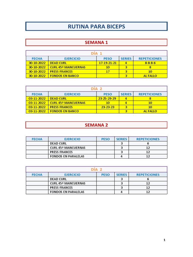 Rutina para Biceps | PDF