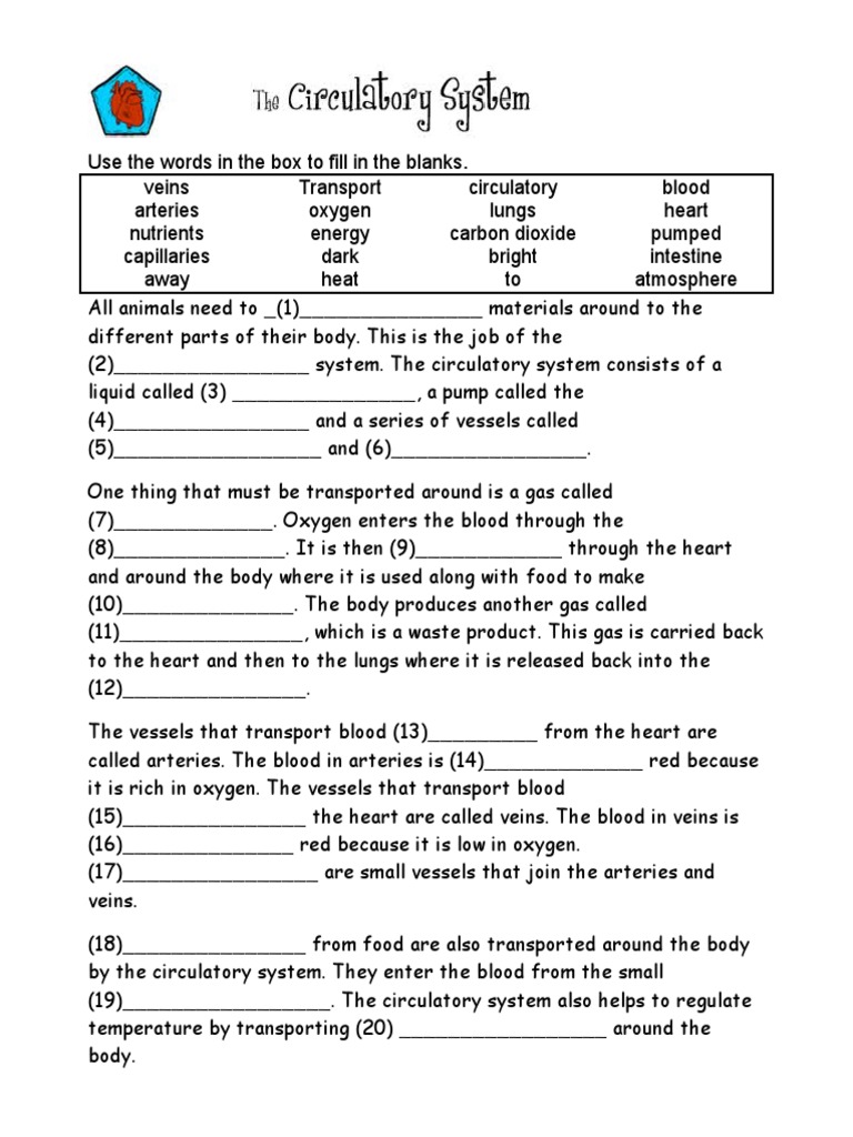 Circulatorysystem - Cloze y | PDF