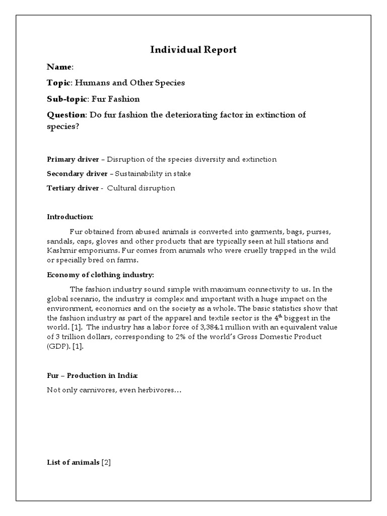 Individual Report Sample 4.11.2022 | PDF | Clothing | Tiger