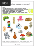 Pozorovací Hárok - Diagnostika | PDF