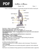 MRS Gren | PDF | Cell (Biology) | Organisms