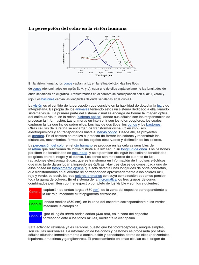 La Percepción Del Color en La Visión Humana | PDF | Color | Percepción ...
