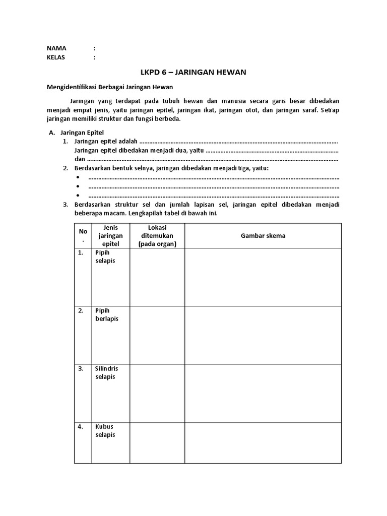 Skema Jaringan Hewan dan Fungsinya | PDF | Sains & Matematika ...