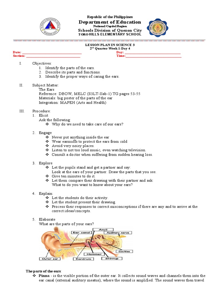 Q2 - Week 1 - Day 4 | PDF | Hearing | Ear