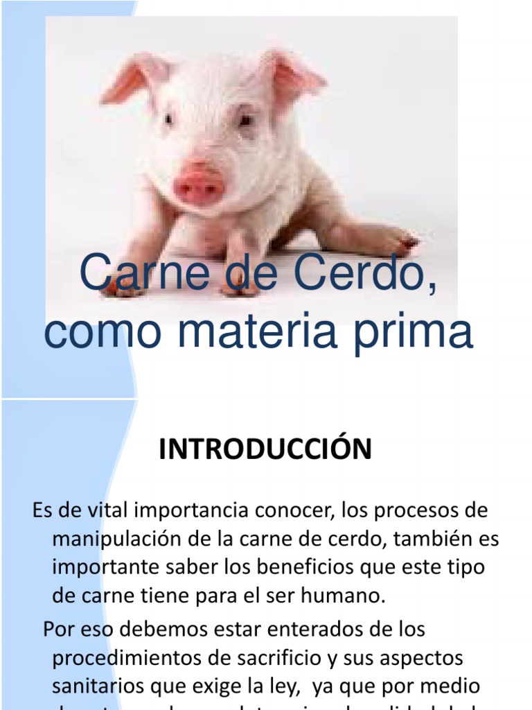 Calidad y Manejo de Carne de Cerdo | PDF | Carne | Cerdo