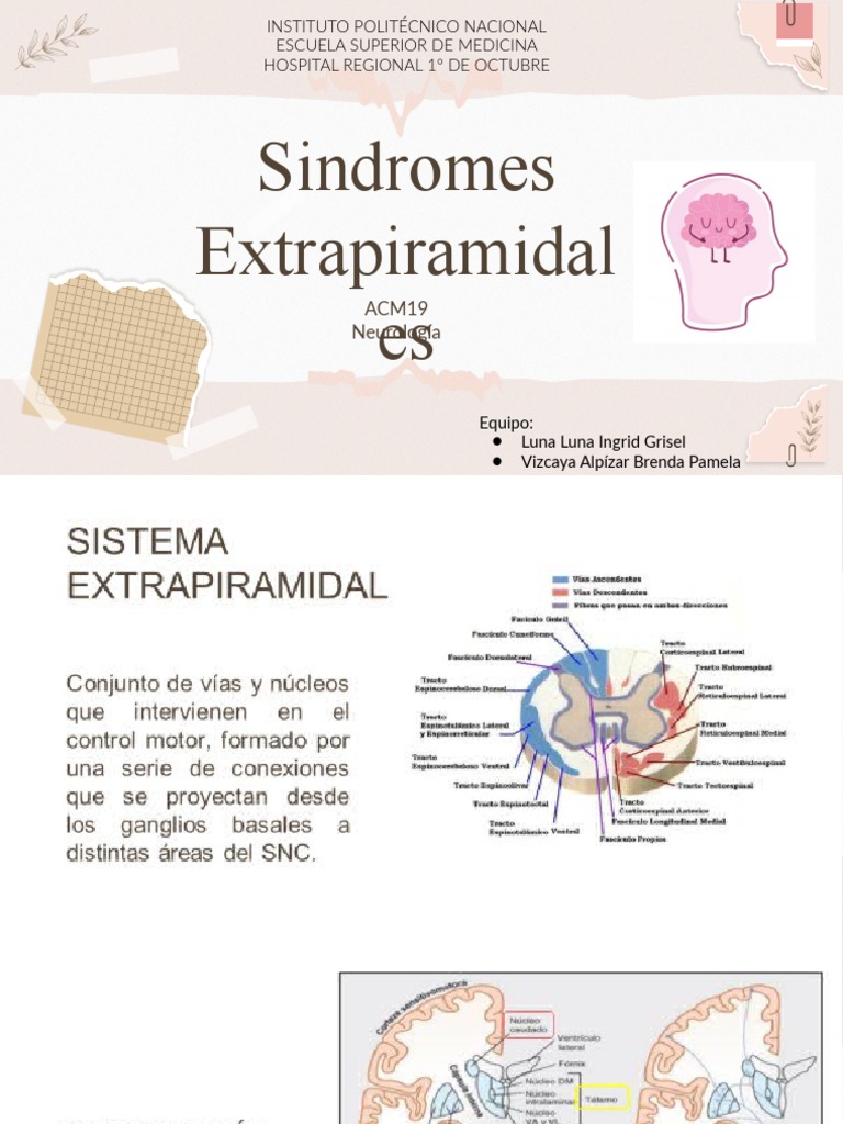 Sindromes Extrapiramidales | PDF | Distonia | Neurociencia