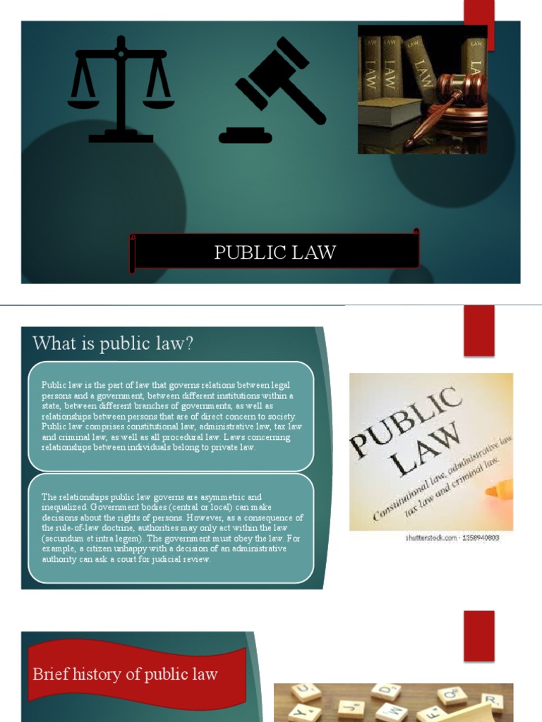 Public Law | PDF | Public Law | Governance