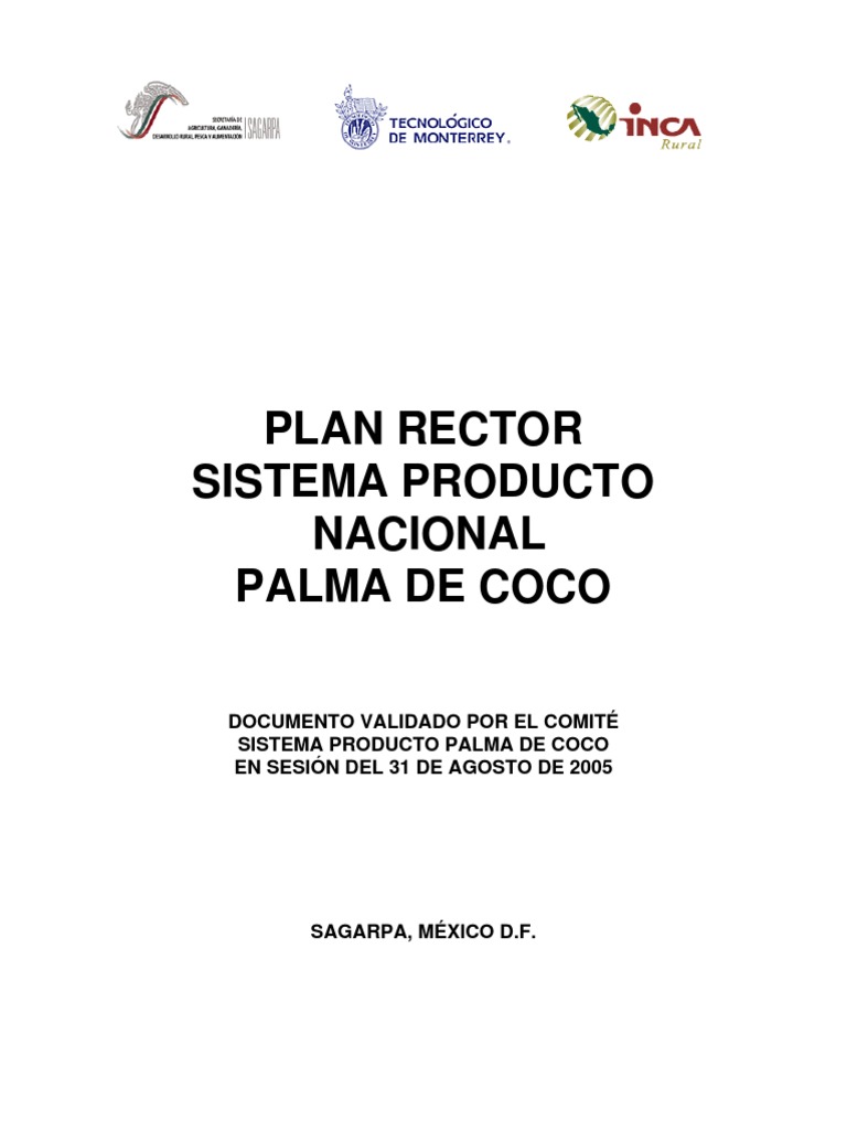 Plan Rector | PDF | Marketing | Mercado (economía)