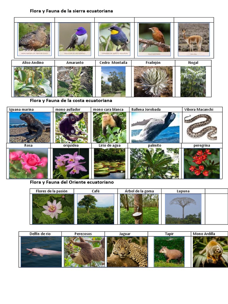 Flora y Fauna Ecuatoriana | PDF