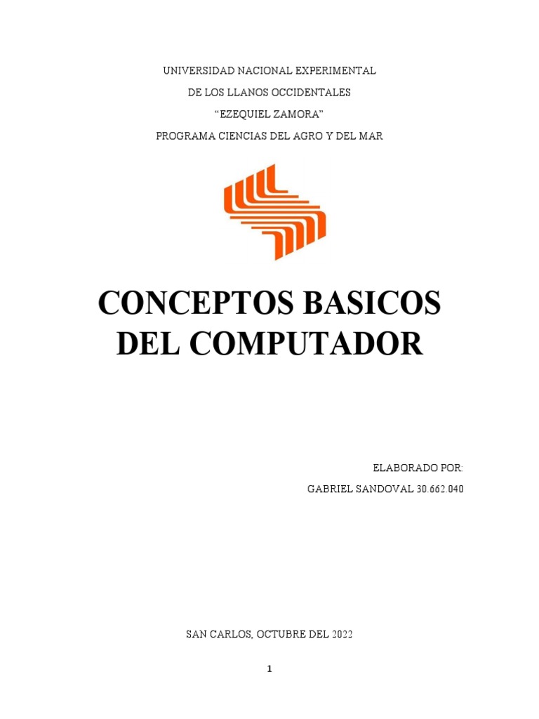 Conceptos Básicos Del Computador | PDF | Periférico | Hardware de la computadora