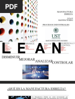 Mapa Conceptual Principios Básicos de Manufactura Esbelta | PDF | Lean Manufacturing ...