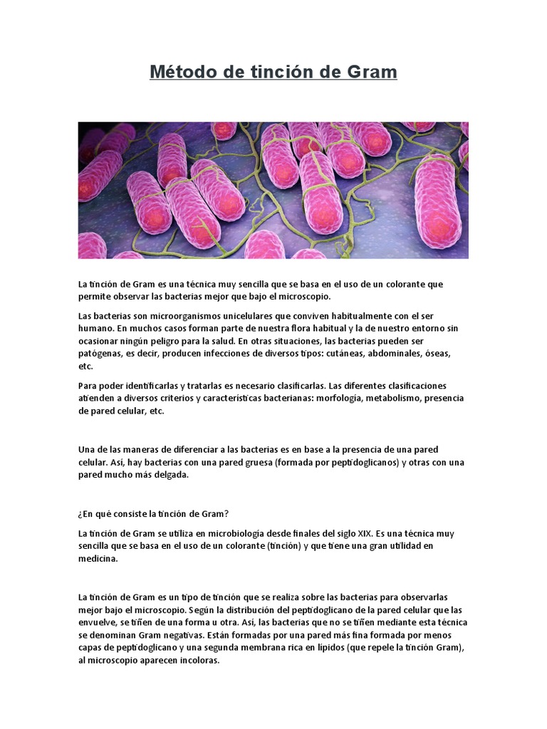 Método de tinción de Gram | PDF | Las bacterias | Tinción