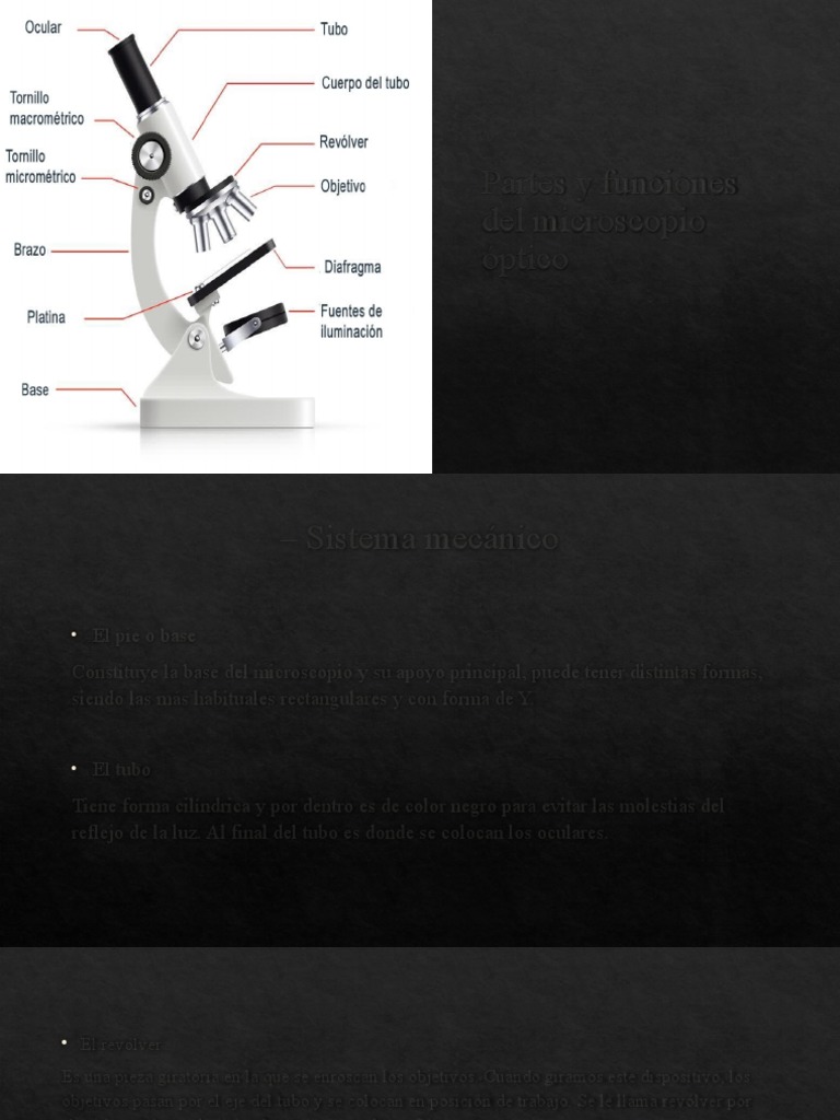 Partes y Funciones Del Microscopio Óptico | PDF | Óptica | Microscopio