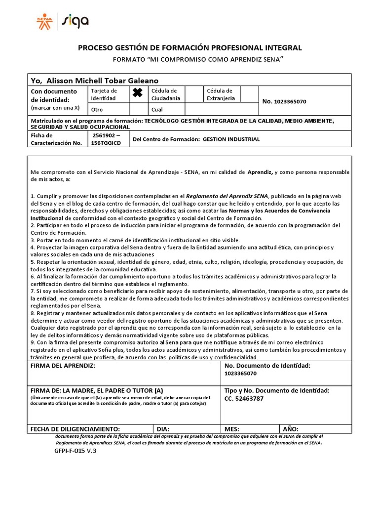 Proceso Gestión de Formación Profesional Integral Formato - 2 | PDF