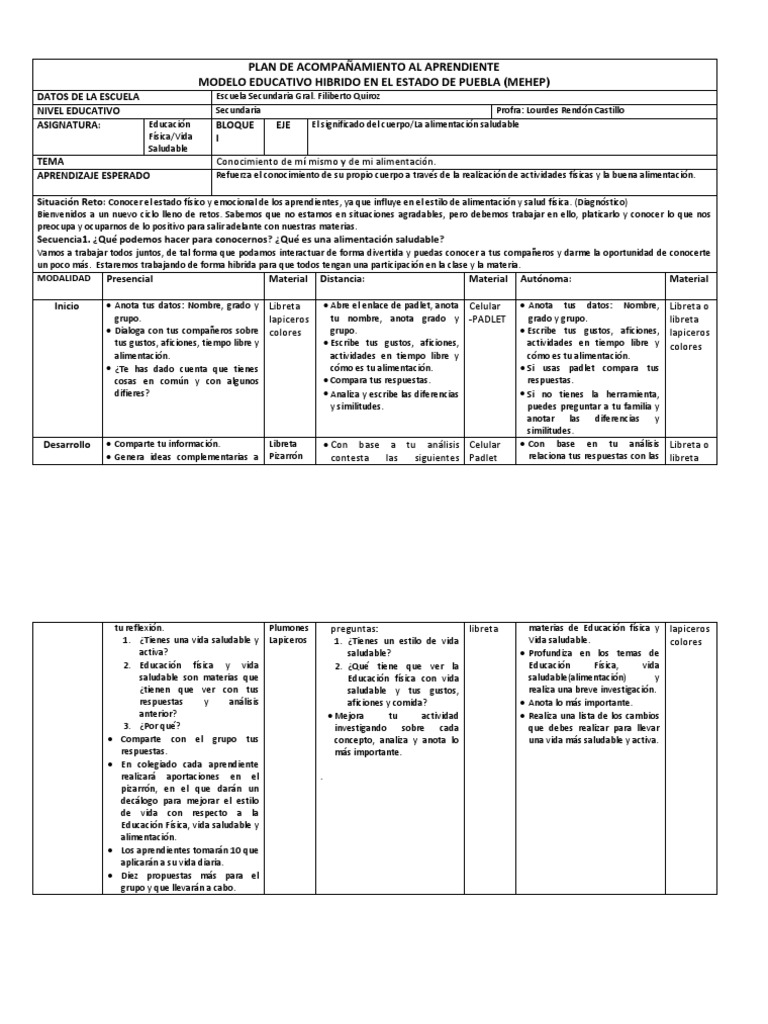Plan de Acompa Amiento Inicio Desarrollo Cierre | PDF | Aprendizaje | Ciencia cognitiva