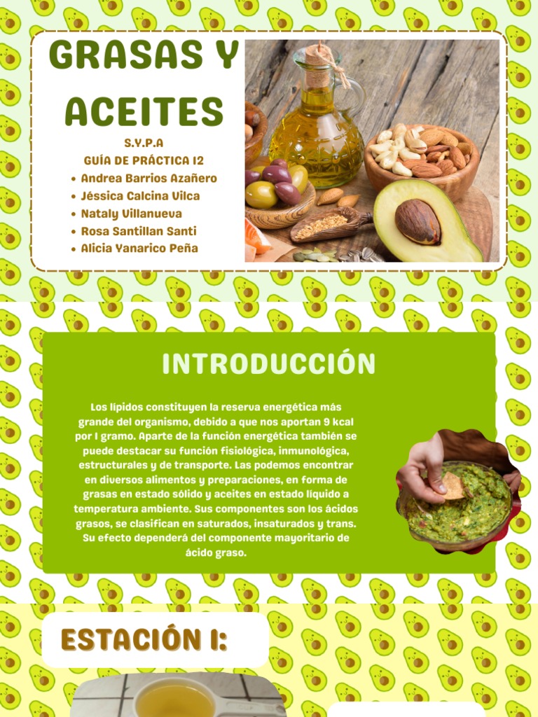 Grasas y Aceites | PDF | gordo | Petróleo