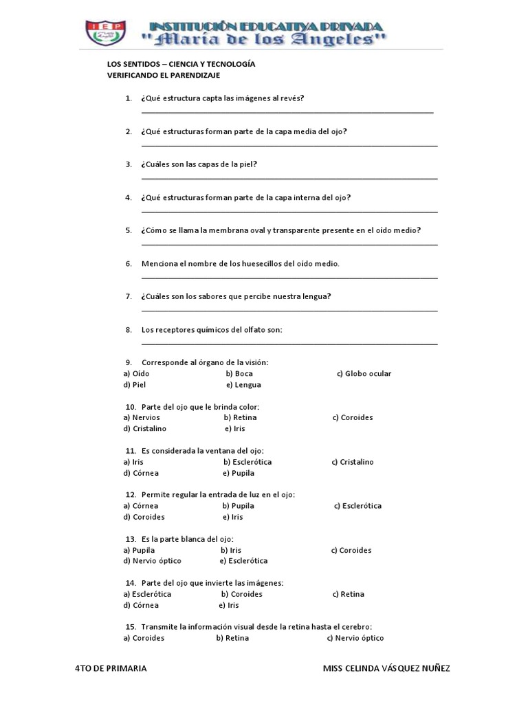 Los Sentidos Practica | PDF | Ojo | Percepción visual