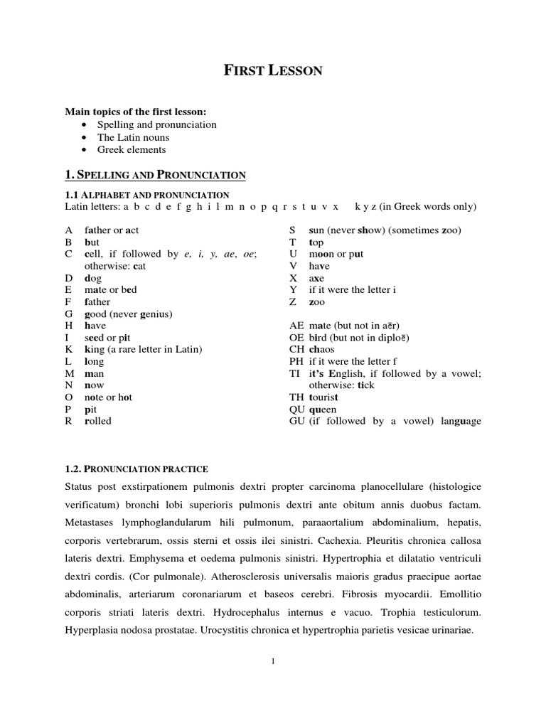 First Lesson | PDF | Grammatical Gender | Grammatical Number