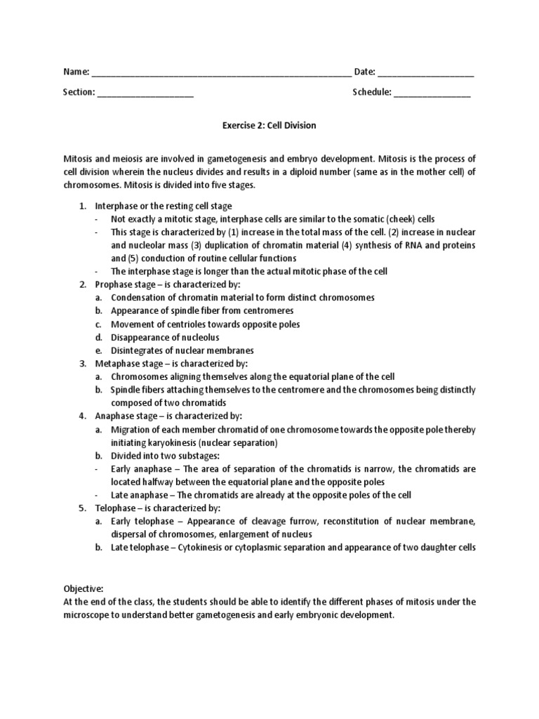 Veterinary Embryology Lab Exercise 2 | PDF | Mitosis | Cell Biology