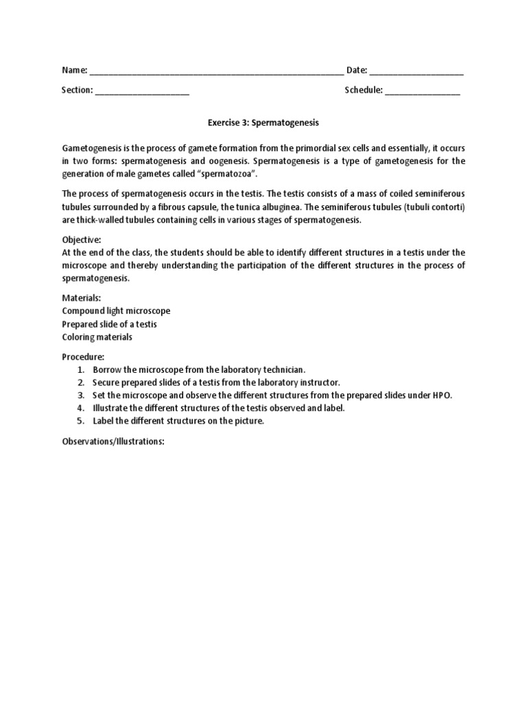 Veterinary Embryology Lab Exercise 3 | PDF | Science & Mathematics