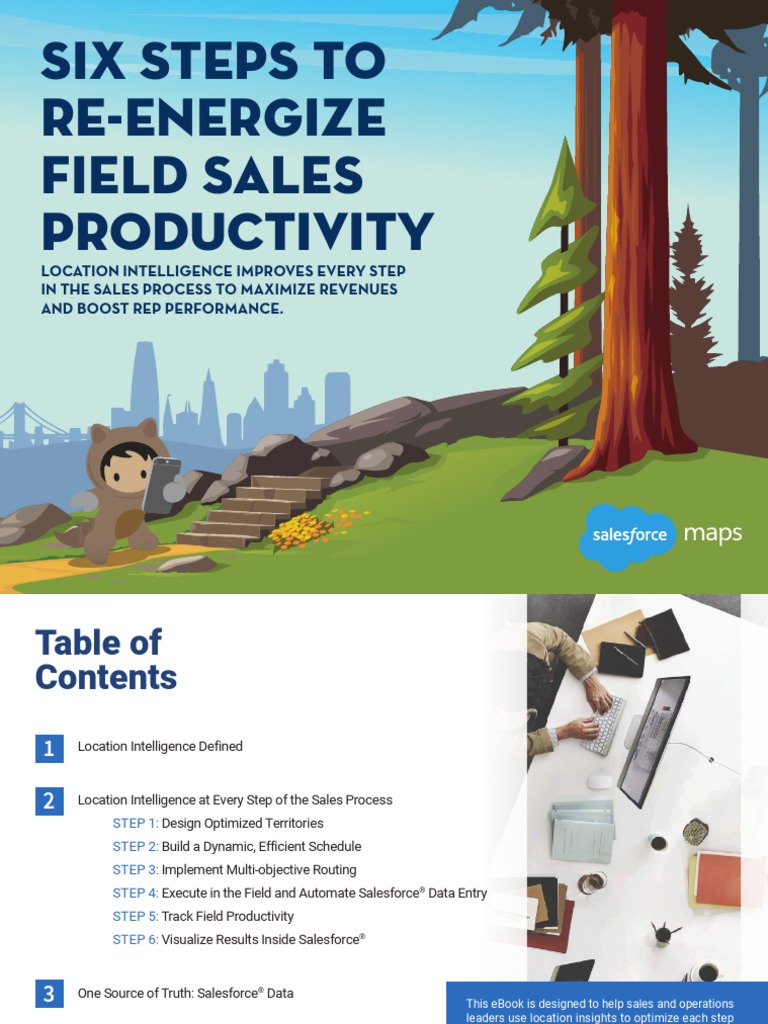 Salesfoce Six-Steps-Reengergize-Field-Sales-Productivity | PDF | Sales ...