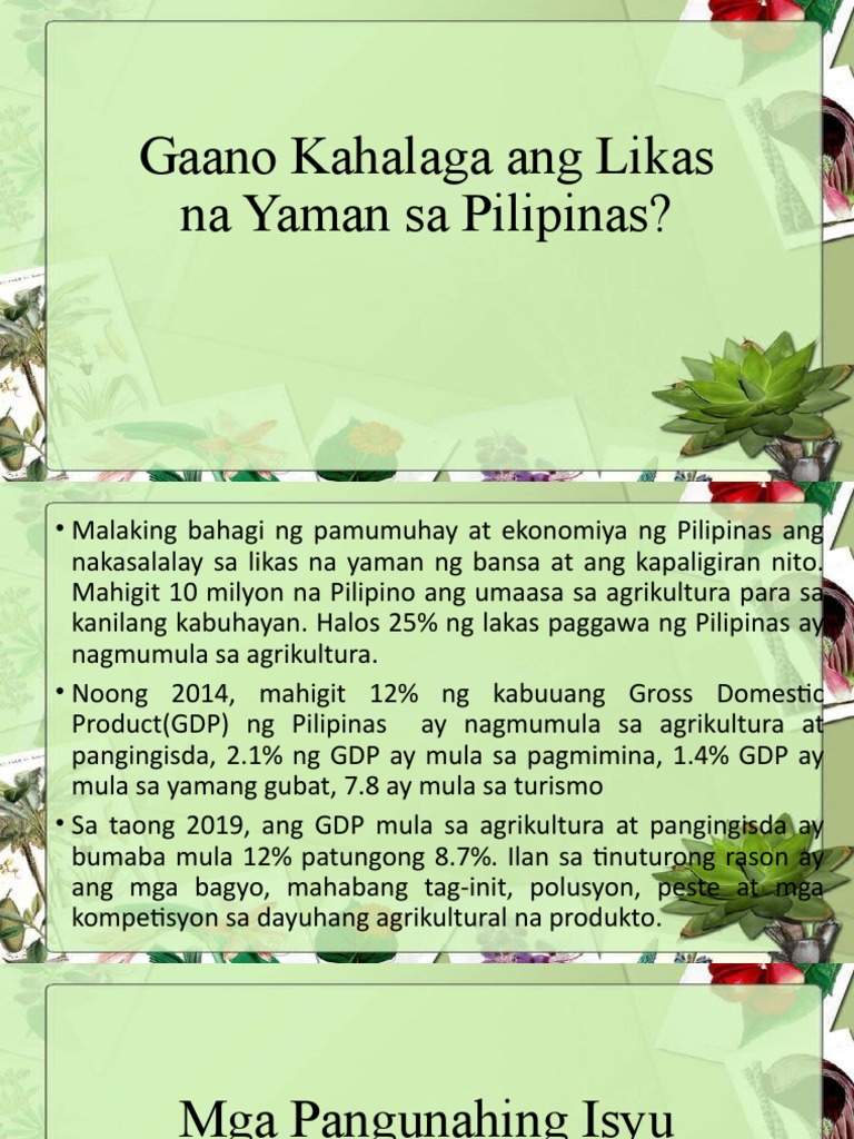 Gaano Kahalaga Ang Likas Na Yaman Sa Pilipinas | PDF Gaano Kahalaga Ang Likas Na Yaman Sa Pilipinas | PDF