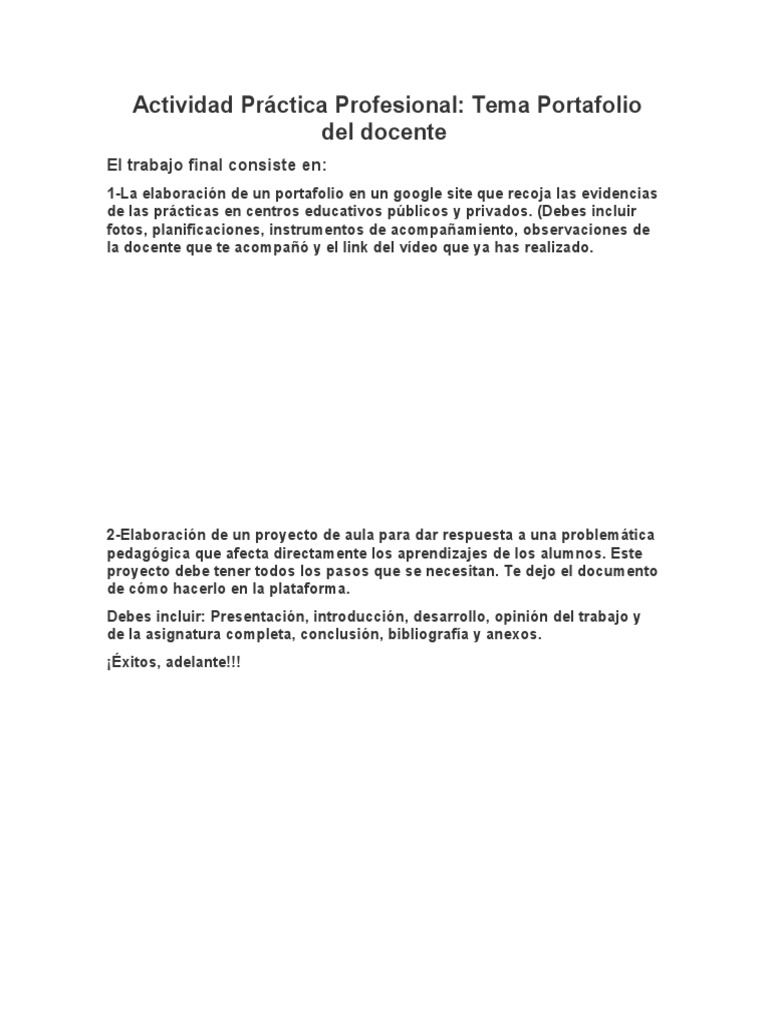 Actividad Práctica Profesional | PDF