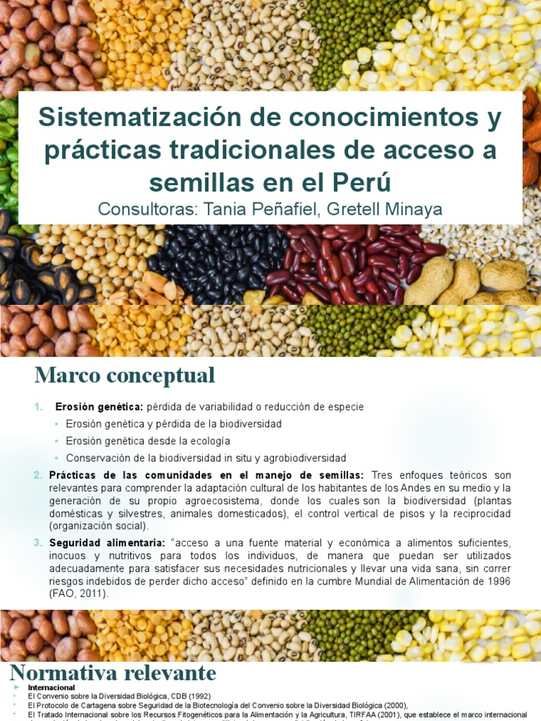 SEMILLAS en El Peru | PDF | Agricultura | Biodiversidad