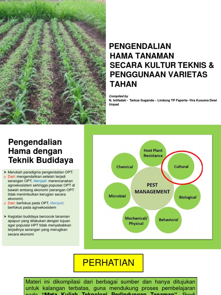 Pengendalian Hama Secara Kultur Teknis & Varietas Tahan FINAL LTP VKD | PDF | Griya & Taman ...